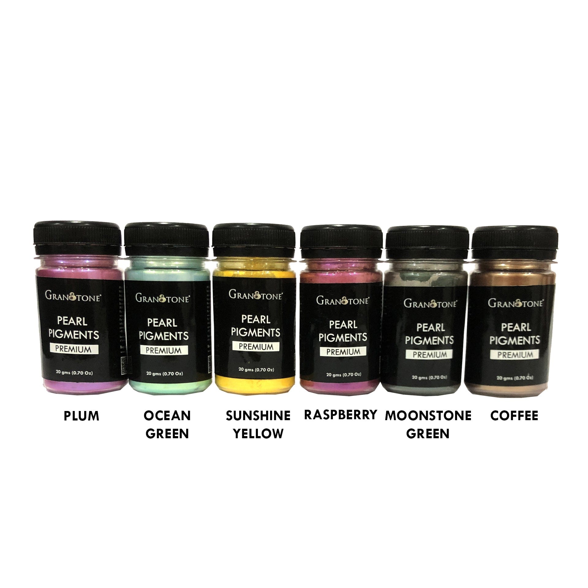 Vibrant Pearl/ Mica Pigment - Set of 6 (Vibrant Colors, 20gm Each)